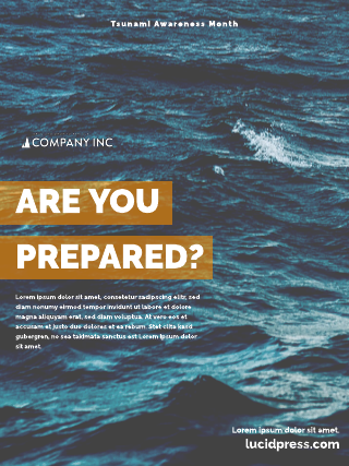 Free Disaster Preparedness Poster Templates & Examples