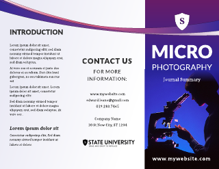 Free Science Brochure Templates & Examples