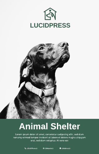 Free Animal Rights Poster Templates & Examples