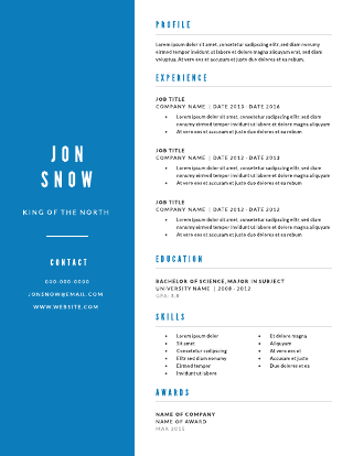 Free Simple Resume Templates & Examples