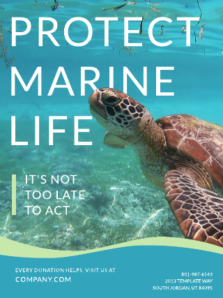 Free Animal Rights Poster Templates & Examples