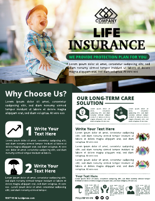 Free Insurance Flyer Templates & Examples